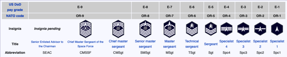 Military ranks and insignia guide