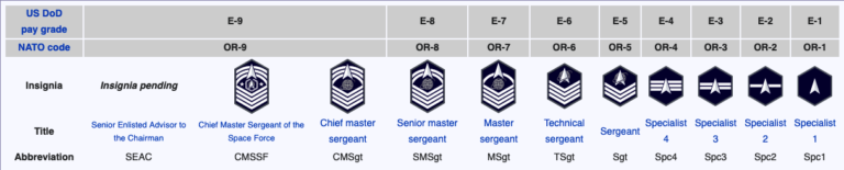Military ranks and insignia guide